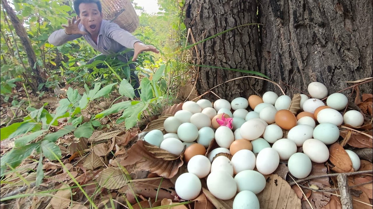 unique fishing! Collect as many eggs as possible under the bushes by ...