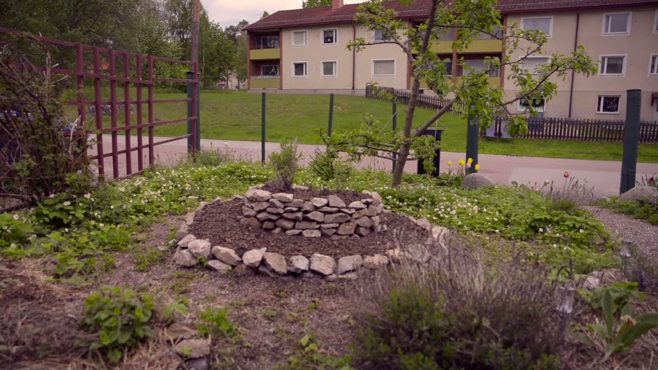 Suburban Permaculture @ 60 Degrees North in Leksand Sweden - YouTube