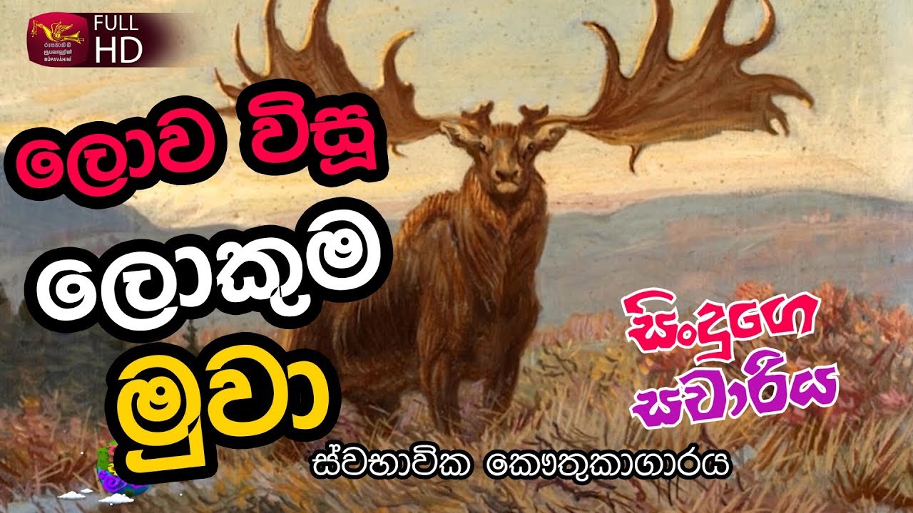 Lokuma Muva - ලෝකයේ ලොකුම මුවා - YouTube
