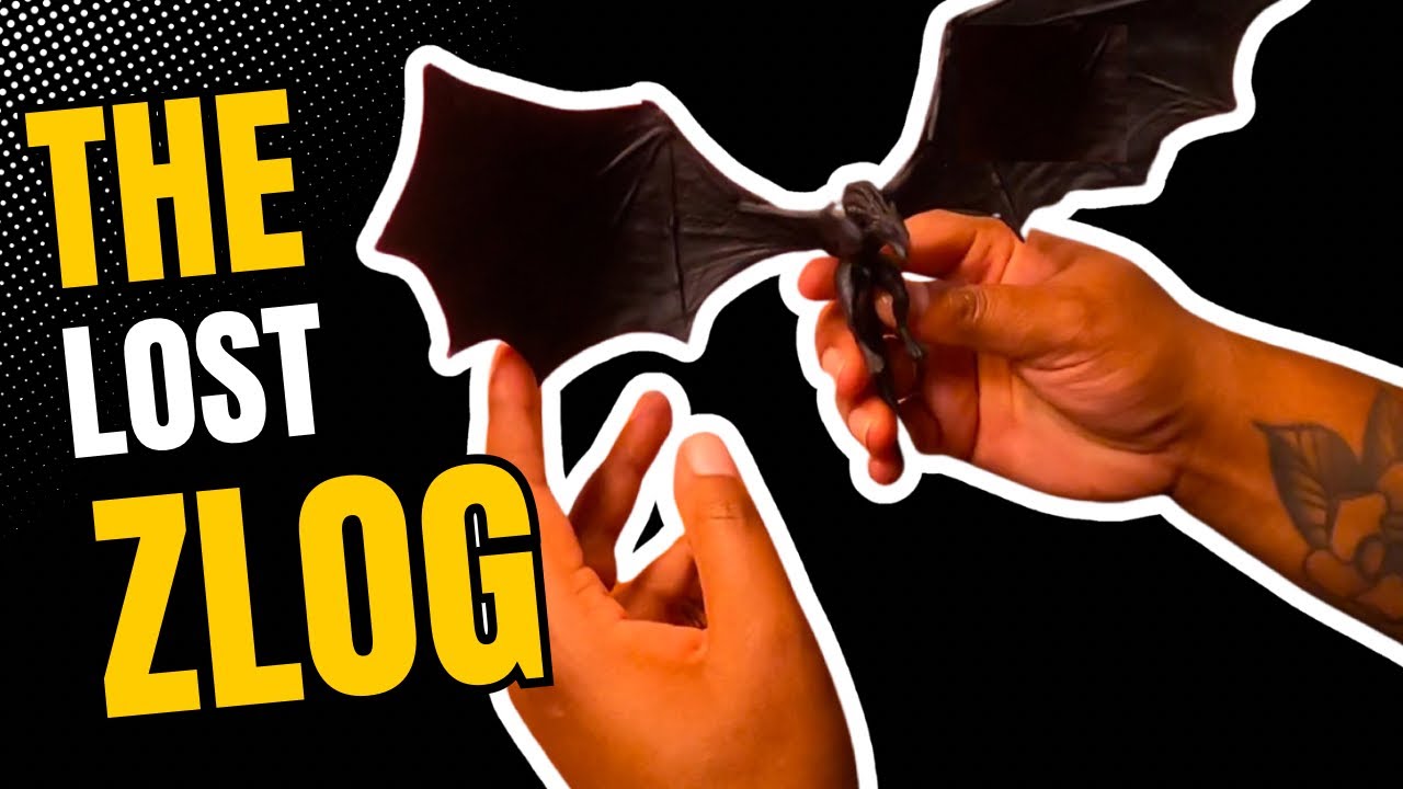 The Lost ZLOG | Zack sees Wicked & 3d Printed Book nook! - YouTube