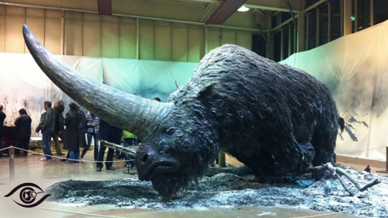 CREATURES THAT WERE SCARIER THAN DINOSAURS AND WENT EXTINCT - YouTube