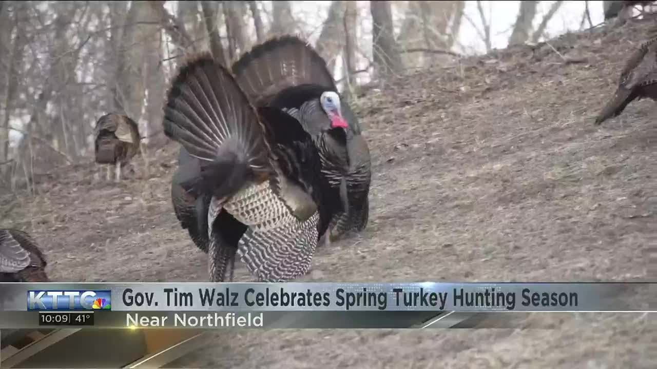 Gov. Tim Walz celebrates spring turkey hunting season - YouTube