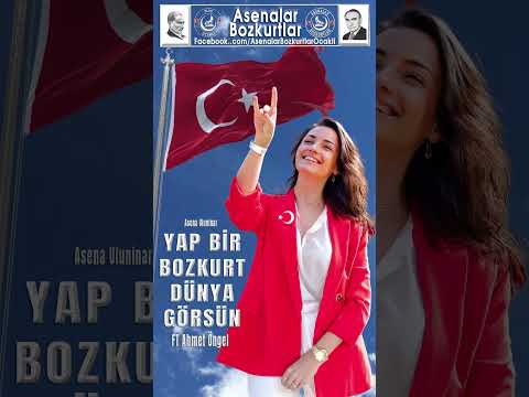 Yap bir bozkurt dünya görsün (Remix) Ft Ahmet öngel