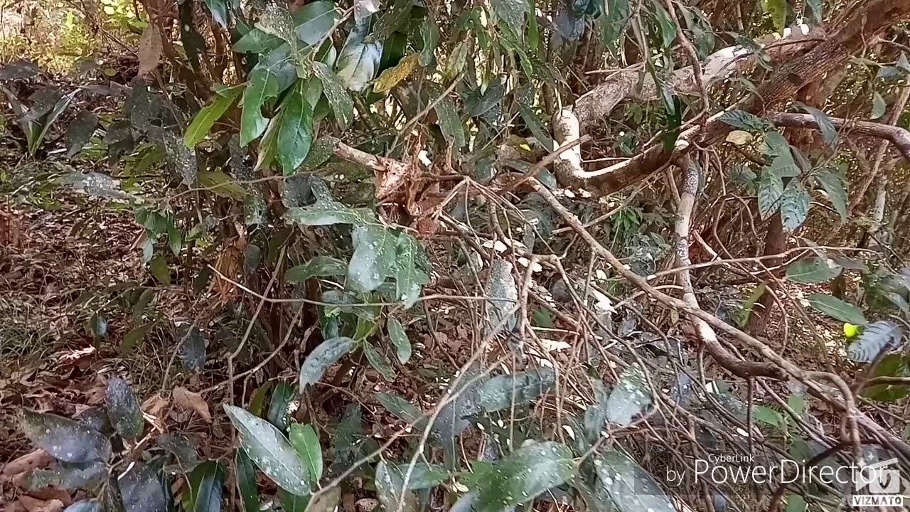 Kgf .....Full form...? - YouTube