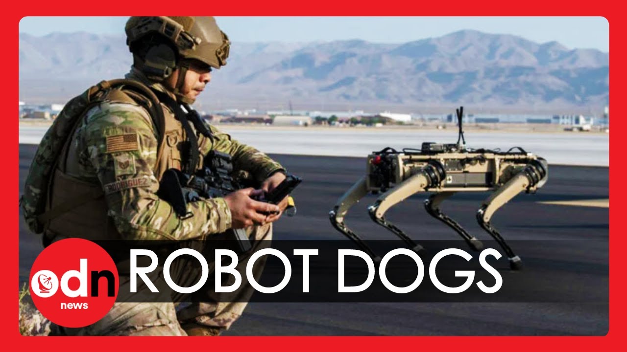‘Unstoppable’ Robot Dogs Join US Air Force - YouTube