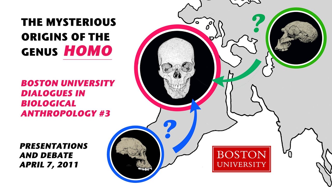 BU Dialogues in Biological Anthropology: The Mysterious Origins of the ...