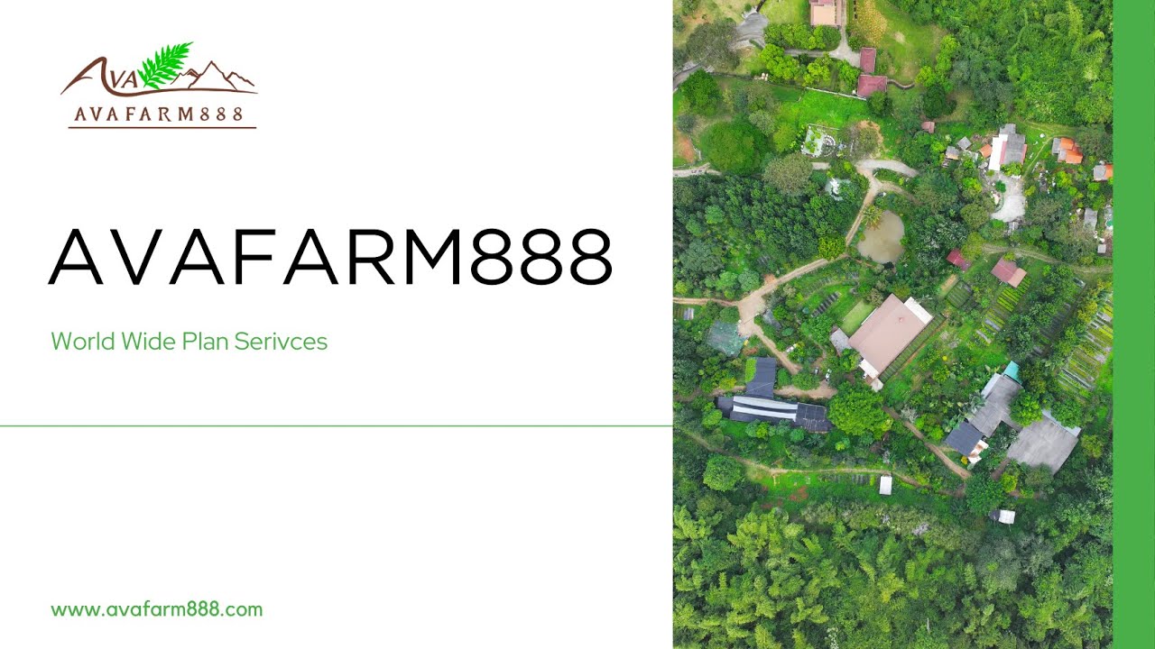 avafarm888 company profile - YouTube
