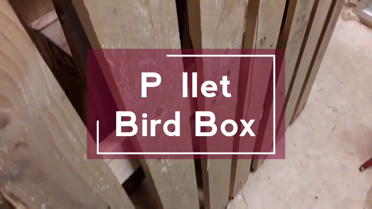 Pallet Bird Box - YouTube