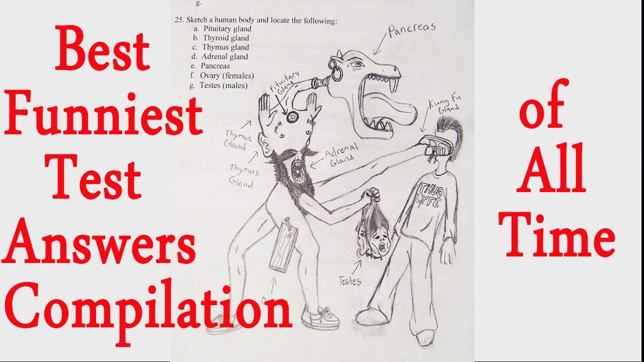 Best Funniest Test Answers Compilation of All Time-Hilarious Test ...