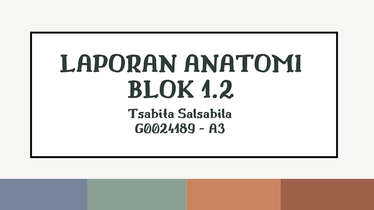 Regio Antebrachii dan Manus - YouTube