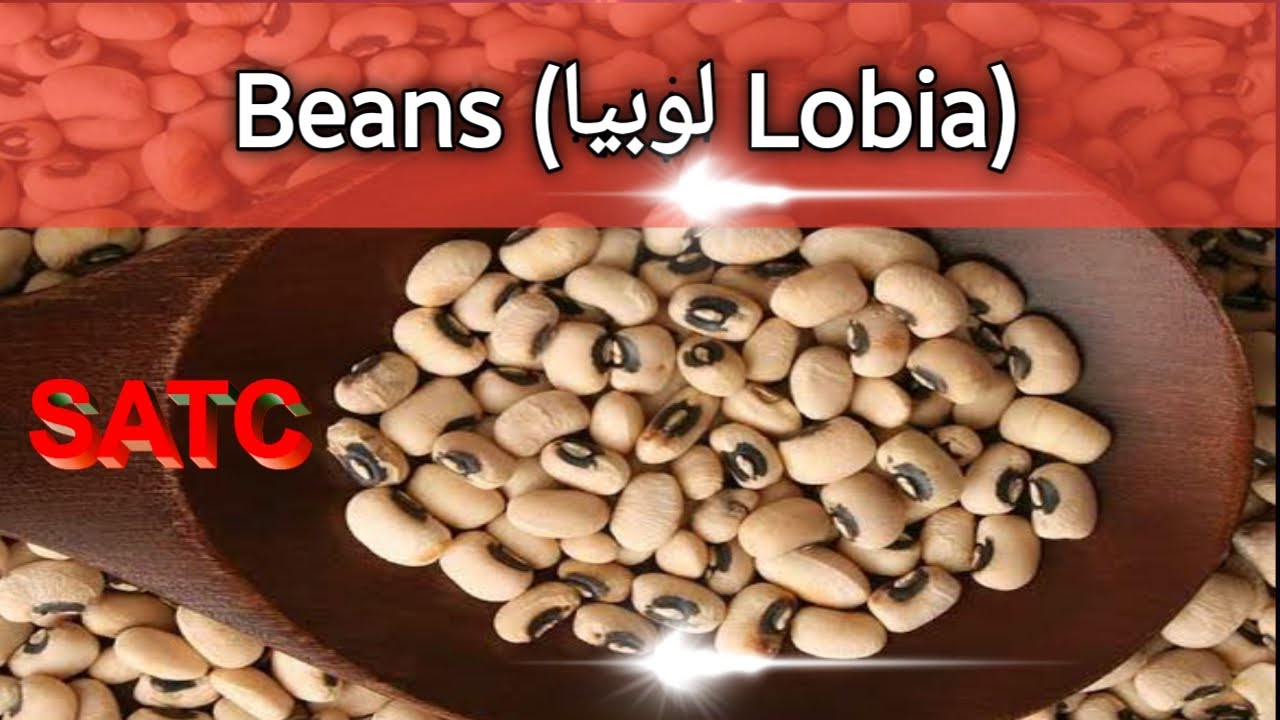Beans Lobia Cooking Recipes | Cooking with SATC | Pakistani Cooking ...