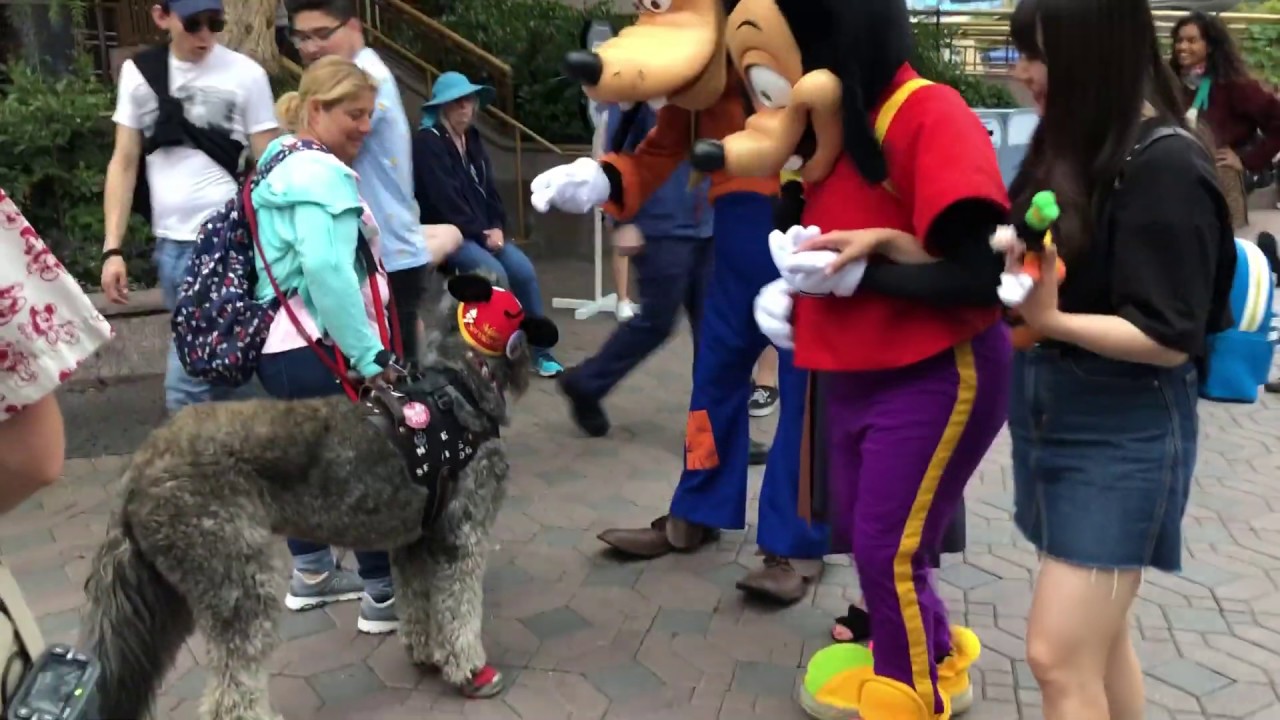 Max and His Dad Meeting a Huge Disney Fan! - YouTube