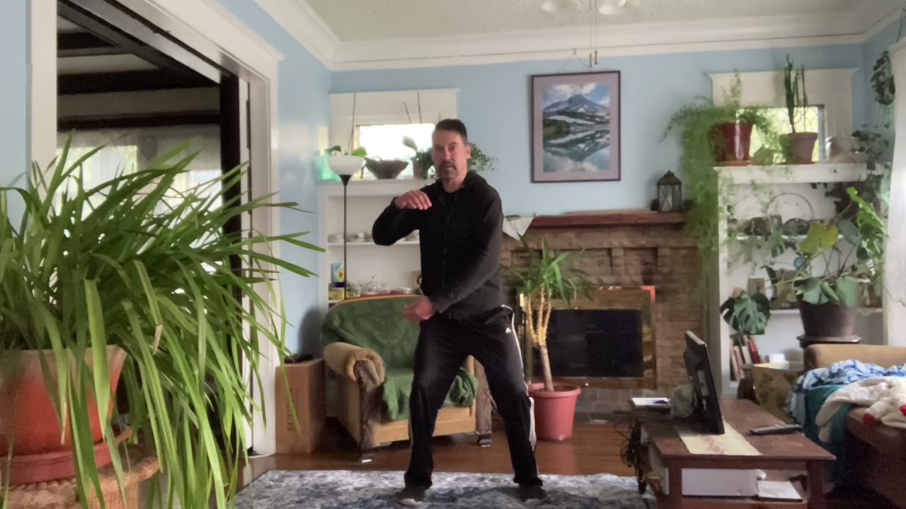 Tai Chi for Beginners 8; Ward Off Left and Right In Home Standing ...