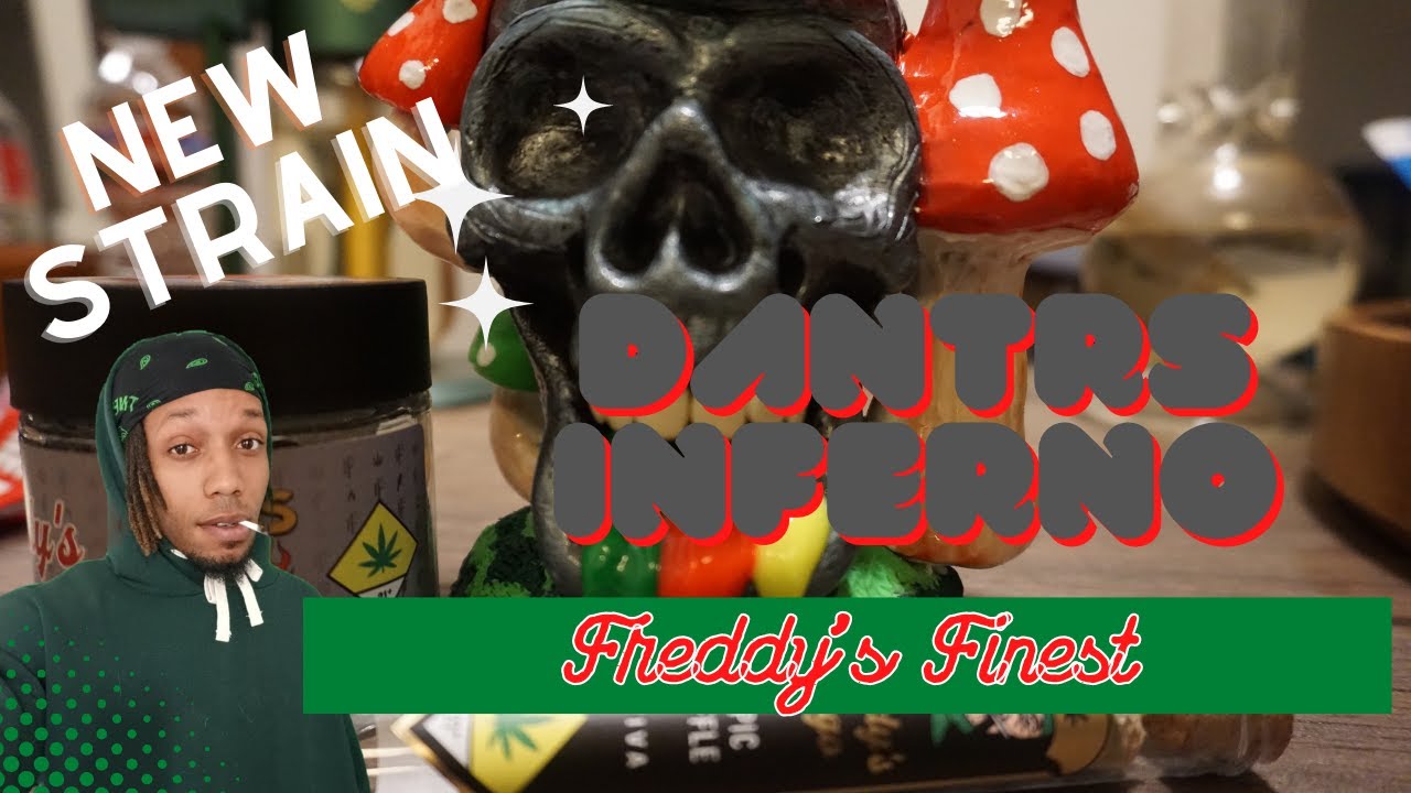 New Weed!!! New Indica Strain from Freddy' Fuego!! - YouTube