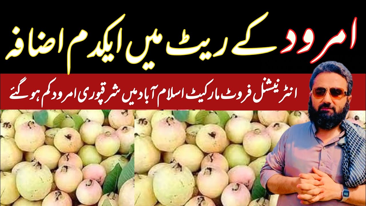 Amrod Guava Prices Became Expensive 🔥Today In international Fruits ...