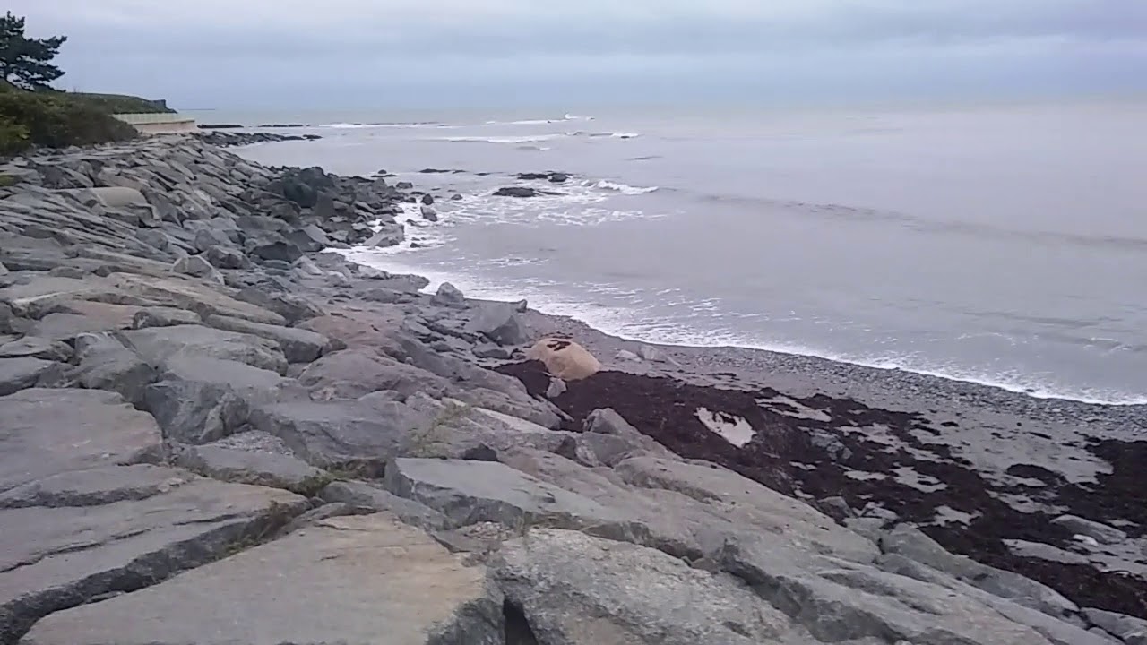 Newport Rhode Island's Cliff Walk!!(#162) - YouTube