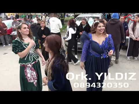 ORK. YILDIZ-2026