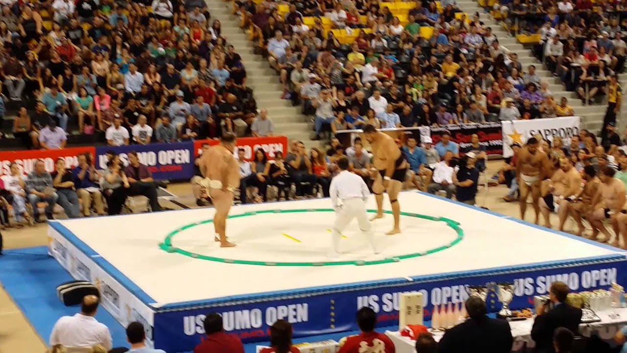 Roy sims sumo2 - YouTube