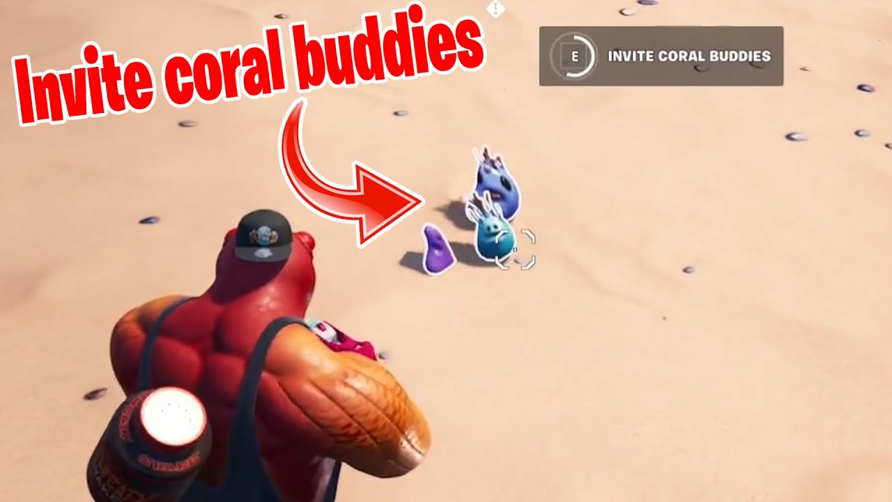 How to *EASILY* Invite coral buddies to fish Thicc's new gym | Fish ...