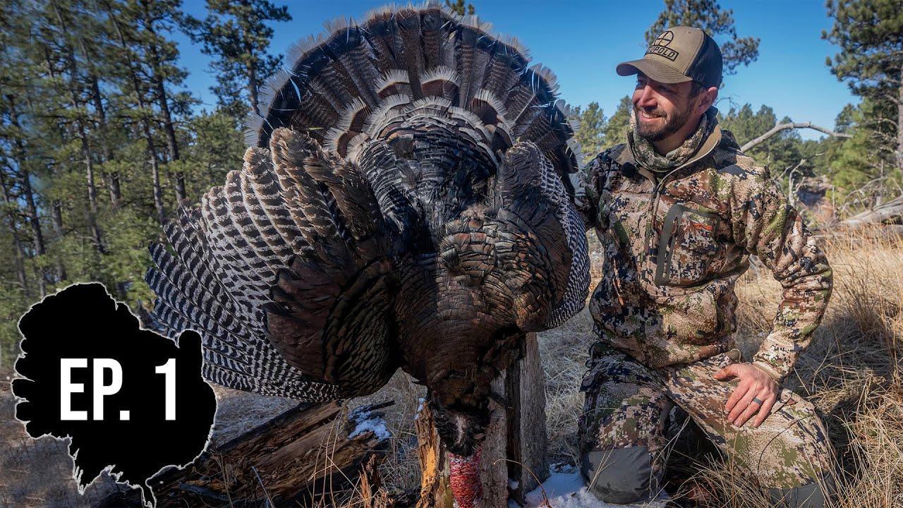 PUBLIC LAND MONTANA TURKEY HUNT | Western Turkey (EP. 1) - YouTube