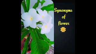 Synonyms of Plant🪴, flower 🌼 and 🍃 leaves!