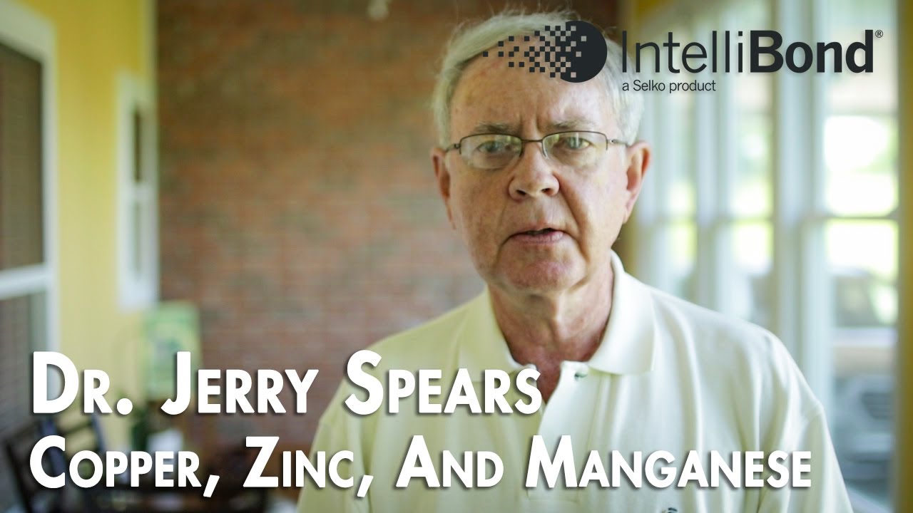 Copper, Zinc and Manganese - Dr. Jerry Spears | IntelliBond - YouTube