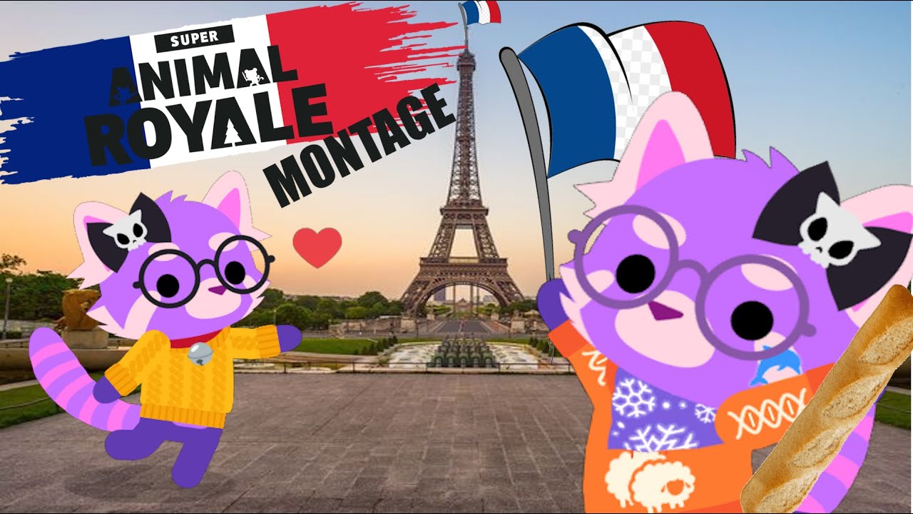 A French Red Panda (SAR MONTAGE) - YouTube