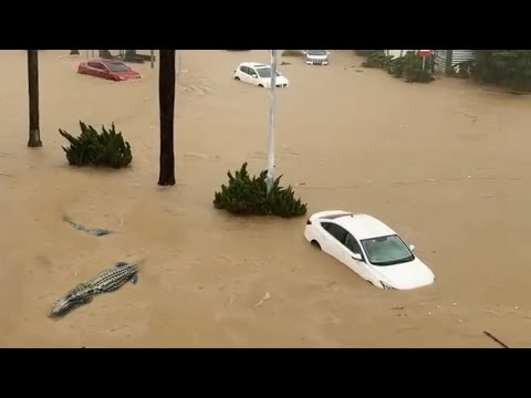 Crocodiles escape as China city goes under water! Hundred dams and ...