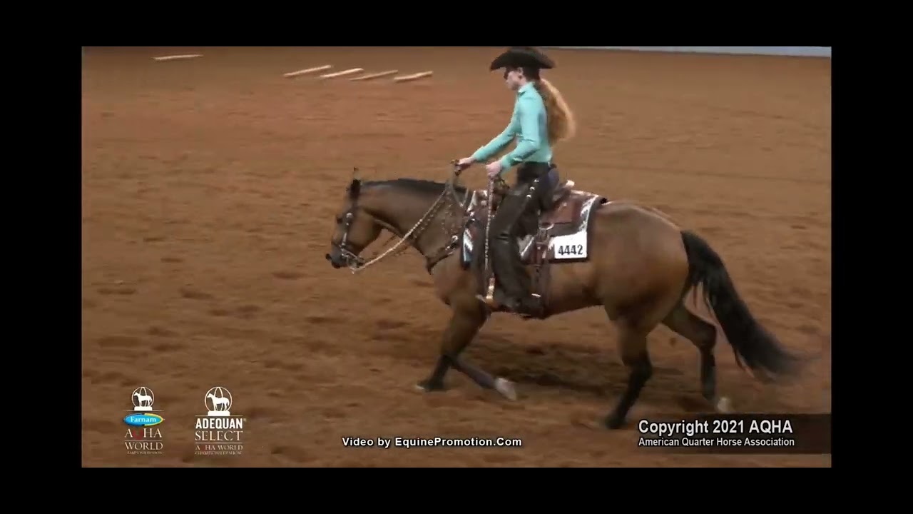 Shannon Quinlan Cash Mi In Junior Ranch Riding - YouTube