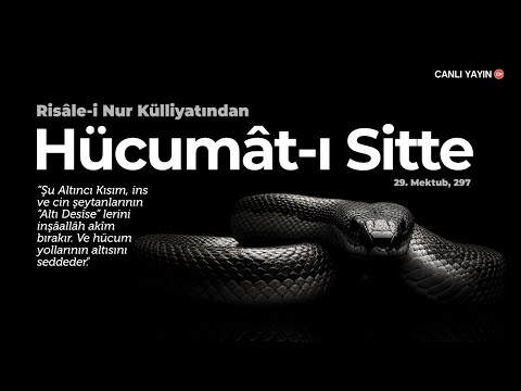 Hücumât-ı Sitte | 29. Mektub
