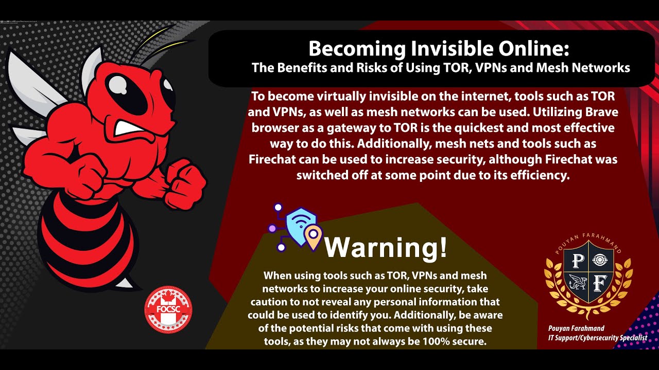 Becoming Invisible Online: The Benefits and Risks of Using TOR, VPNs ...