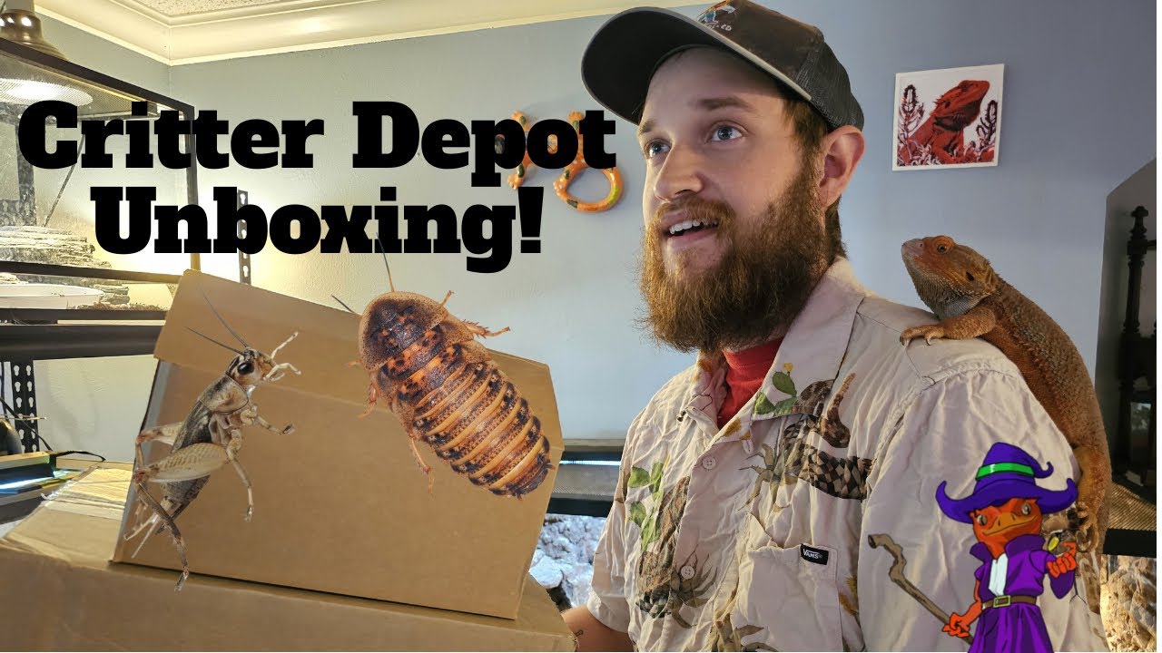 Critter Depot Order Unboxing! How to Set up a Cricket Container - YouTube