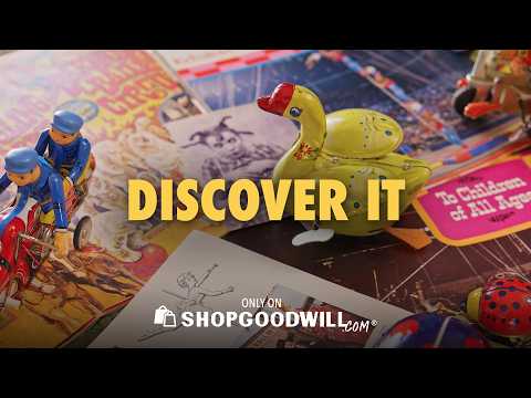 Discover It on ShopGoodwill.com: Weird & One-of-a-Kind Finds