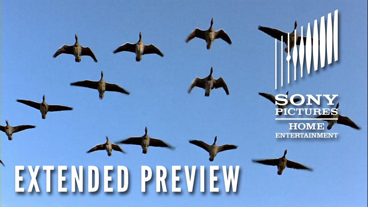 WINGED MIGRATION – Extended Preview – Now on Digital - YouTube