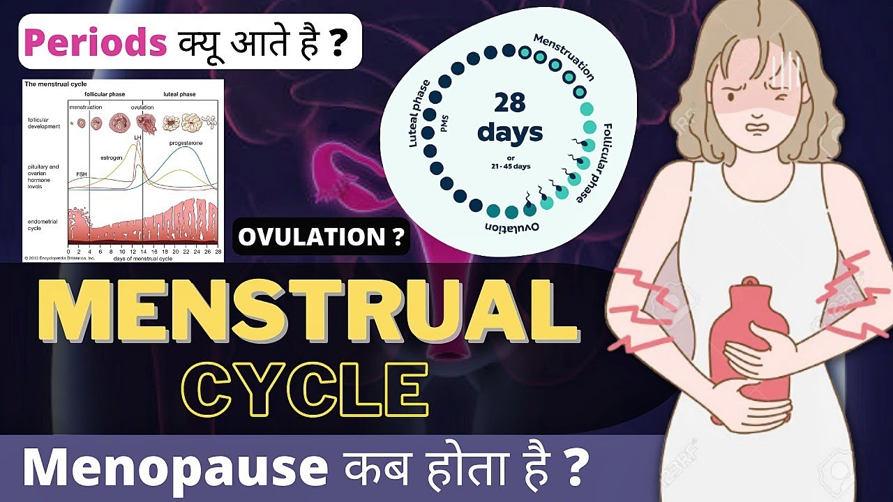 What is menstrual cycle | Menstruation cycle | Why does menstruation ...