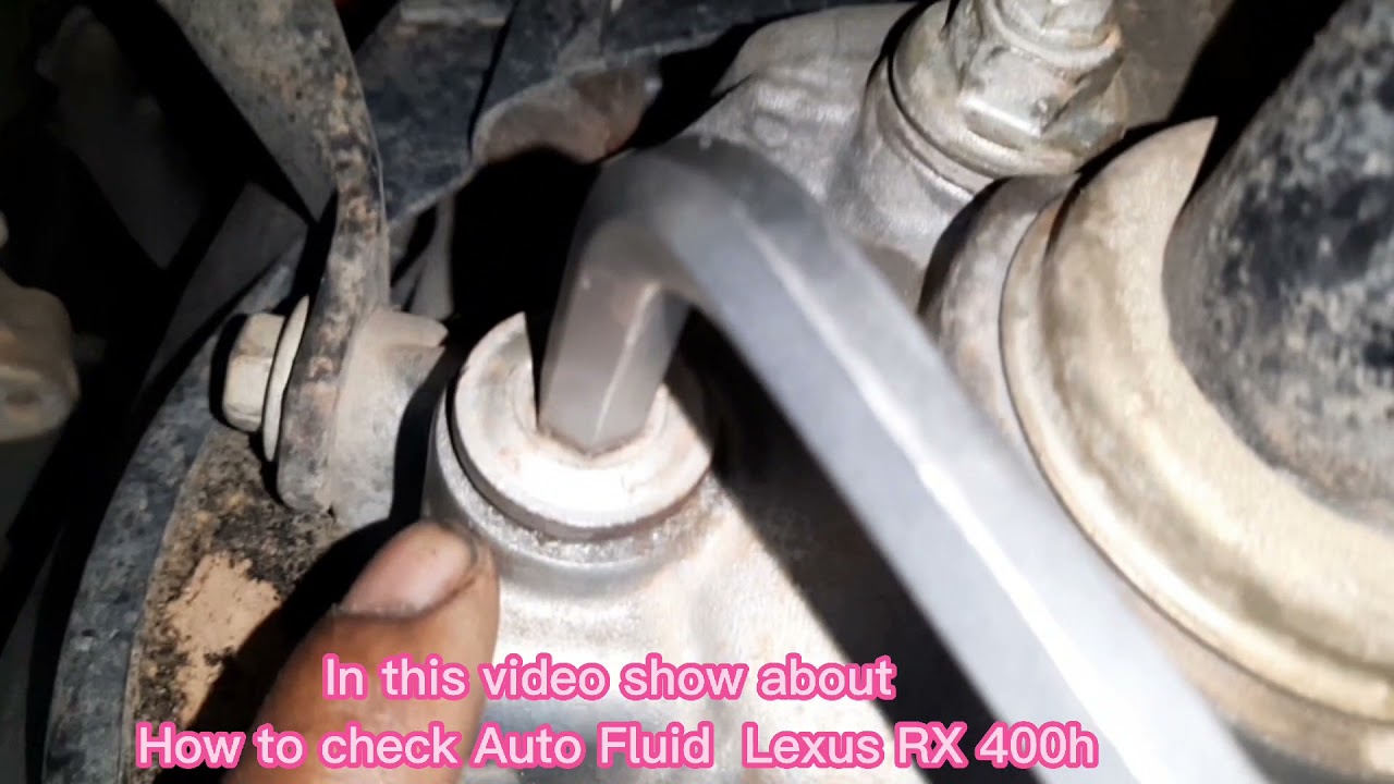 How check auto fluid Lexus RX 400h easy and fash,Car Technology, - YouTube