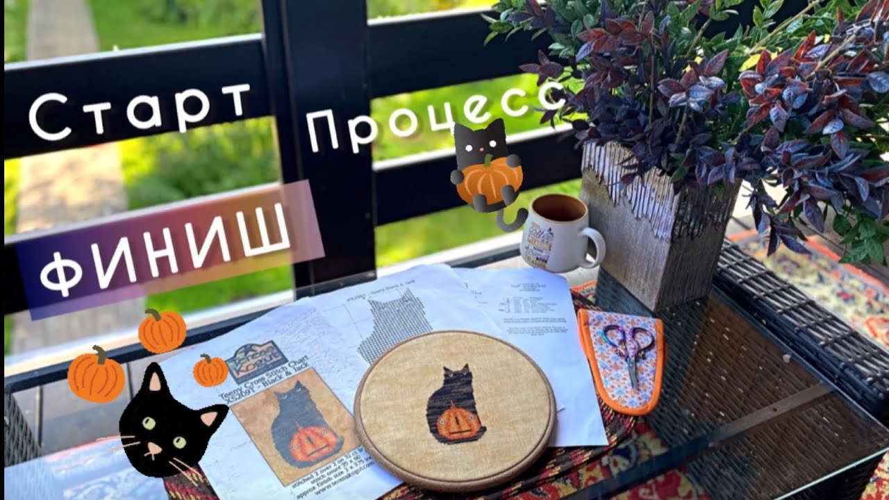 Котик Black Jack от Teresa Kogut - YouTube