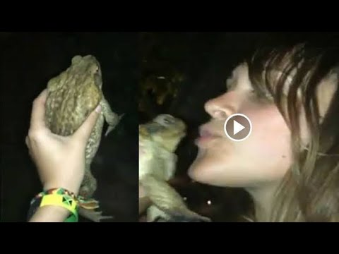 One Girl One Frog Viral Video - YouTube
