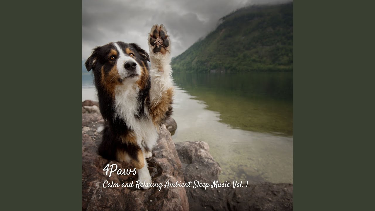 Study Ambience Library Sounds - YouTube