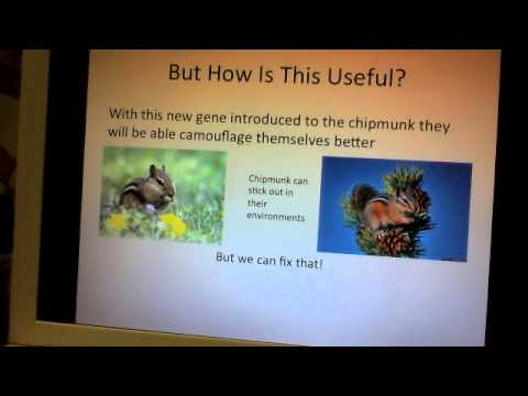 Chipmunk aleration project for Stewart/Guzman - YouTube