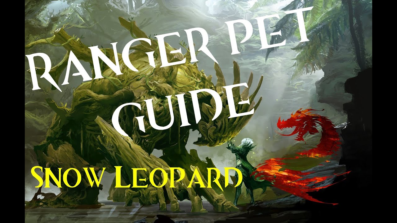 Guild Wars 2 - Snow Leopard // Ranger Pet Guide - YouTube