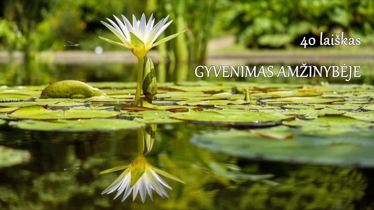 40 laiškas_GYVENIMAS AMŽINYBĖJE. „Savęs ir Visatos pažinimo link“ I ...