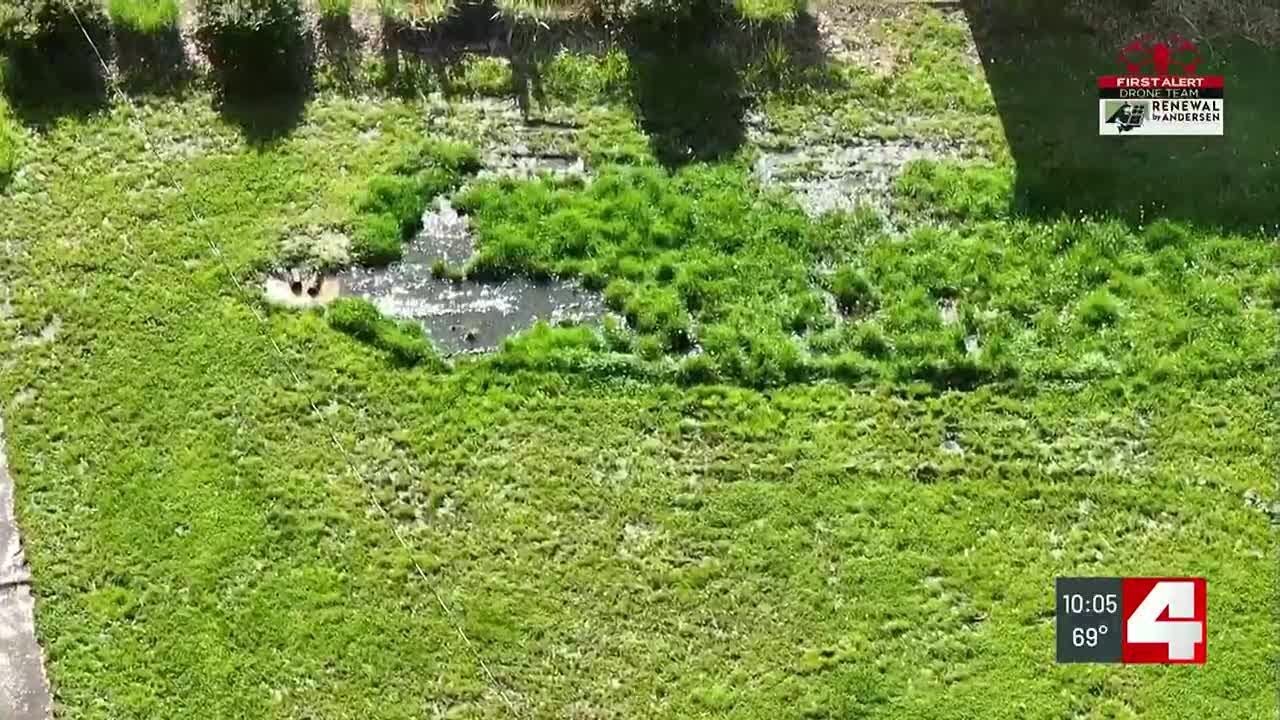 Neighbors dealing with septic tank runoff in High Ridge - YouTube