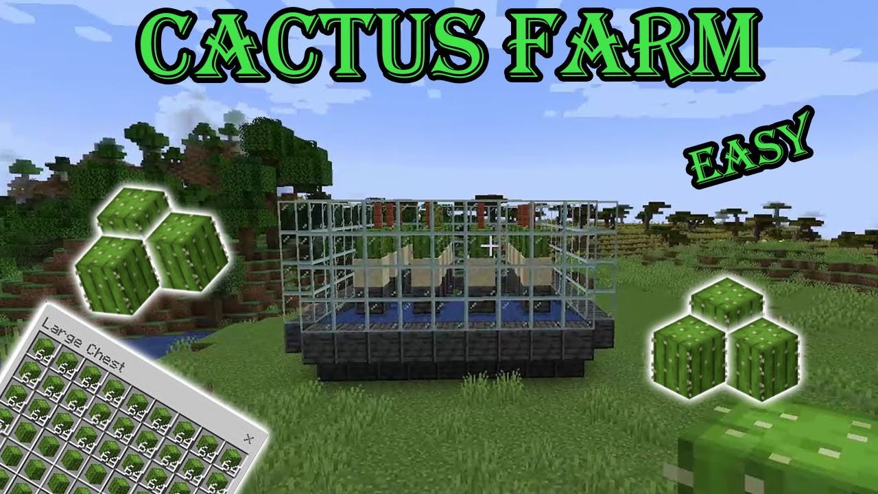 Easiest Minecraft 1.19+ Cactus XP Farm | 1000+ per HOUR | Minecraft ...
