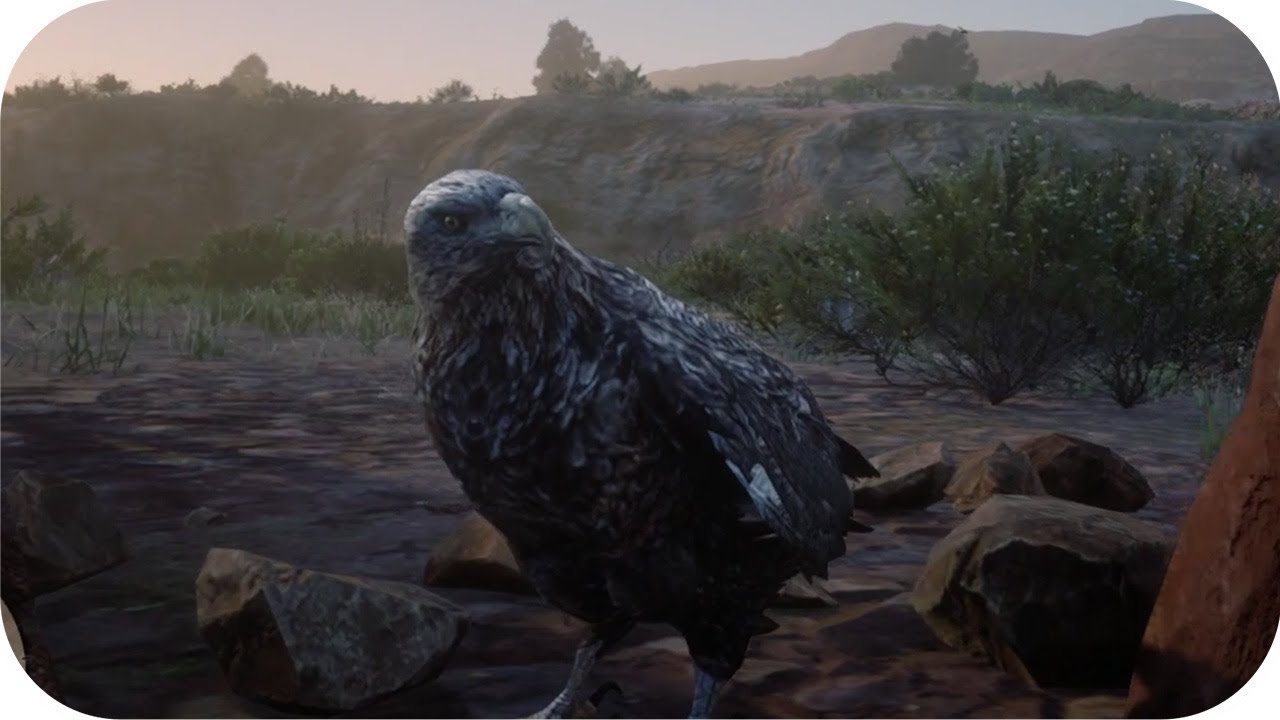 Exploring Mexico as EAGLE Red Dead Redemption 2 MODS - YouTube