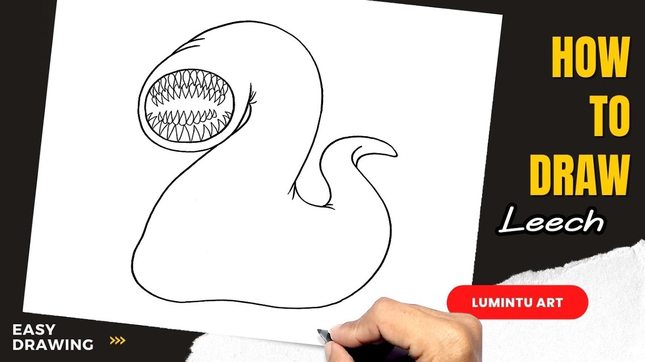 How to draw Leech - Easy Leech Drawing - YouTube