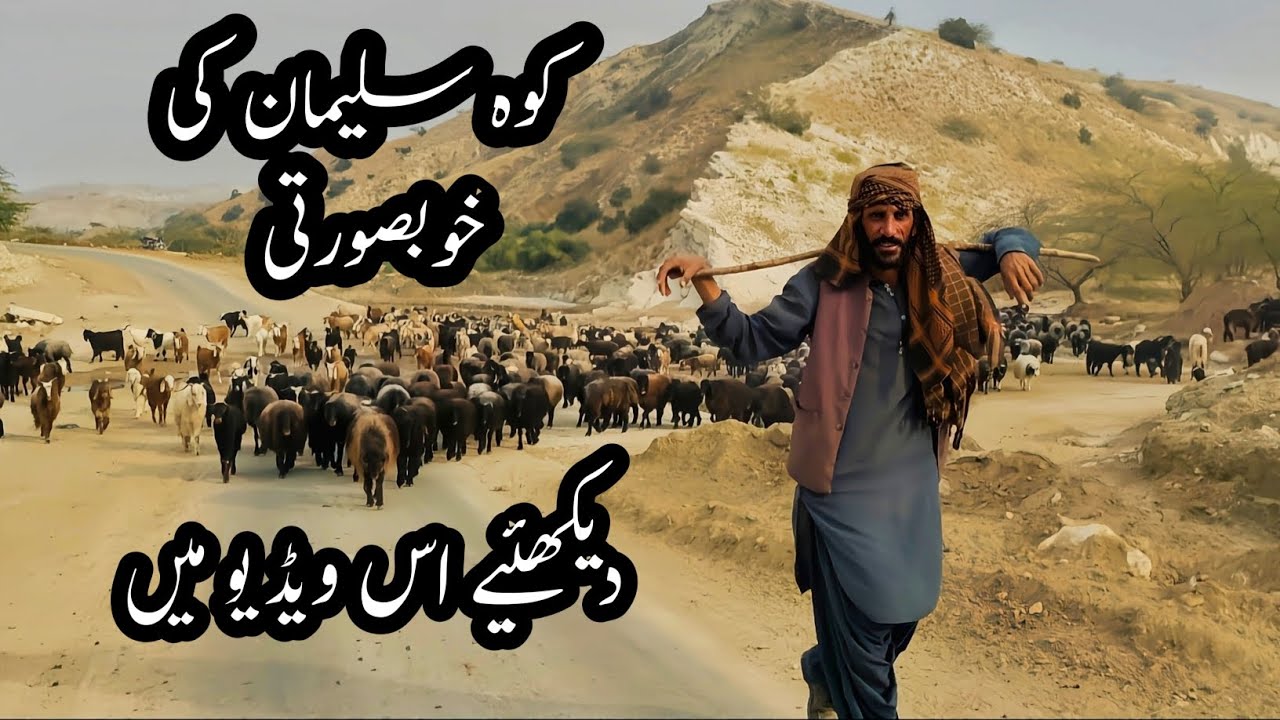 Spending A Day On Koh E Suleman Mountain Ranges | Beauty Of Koh E Suleman | Mountain Life - YouTube