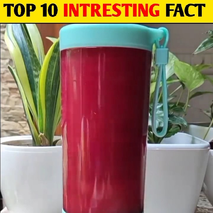 top 10 most interesting facts 🤯 and amazing facts 😍 and random facts 🤔 ...