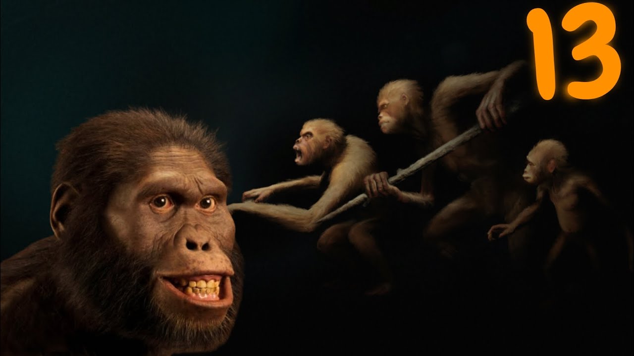 L'Australopithecus africanus | Ancestors : The Humankind Odyssey #13 - YouTube