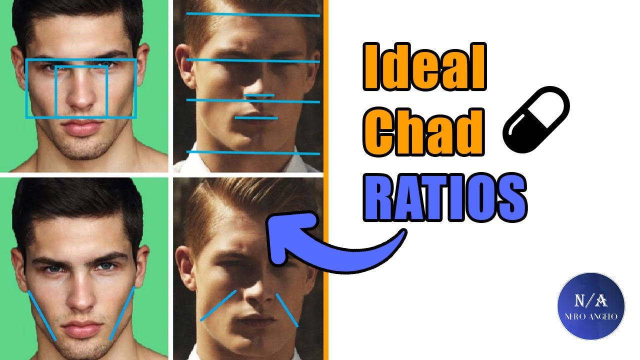 Ideal Facial Ratios Chads Have - (blackpill) - YouTube